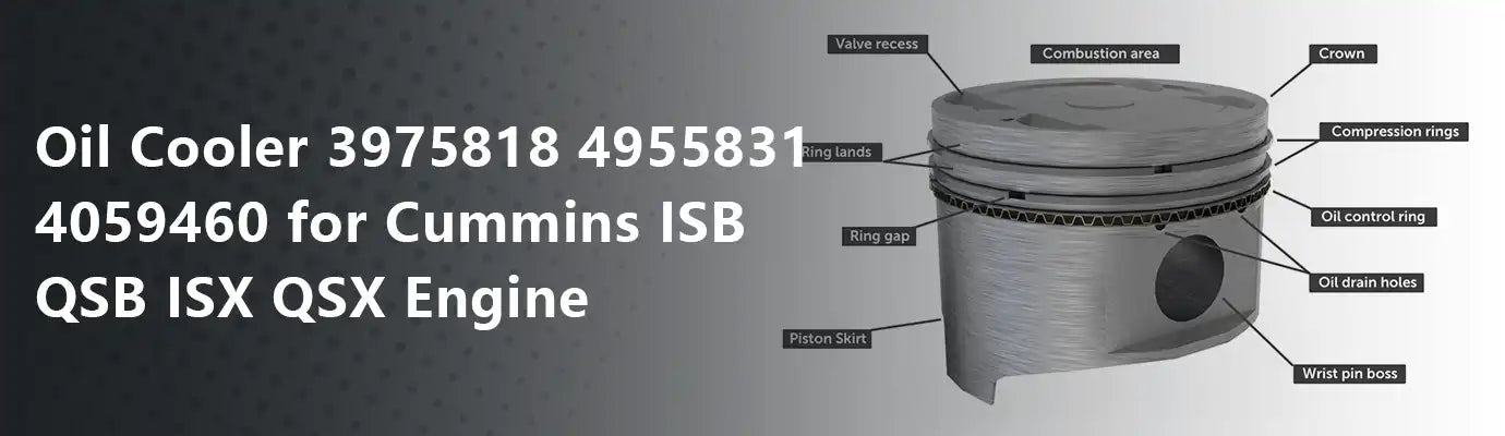 Oil Cooler 3975818 4955831 4059460 for Cummins ISB QSB ISX QSX Engine ...